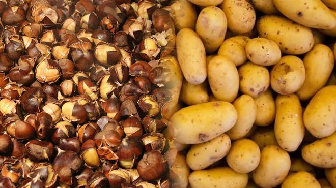 İzmir’in ambarında üretim manzaraları… Kestane Çin’den, patates ...